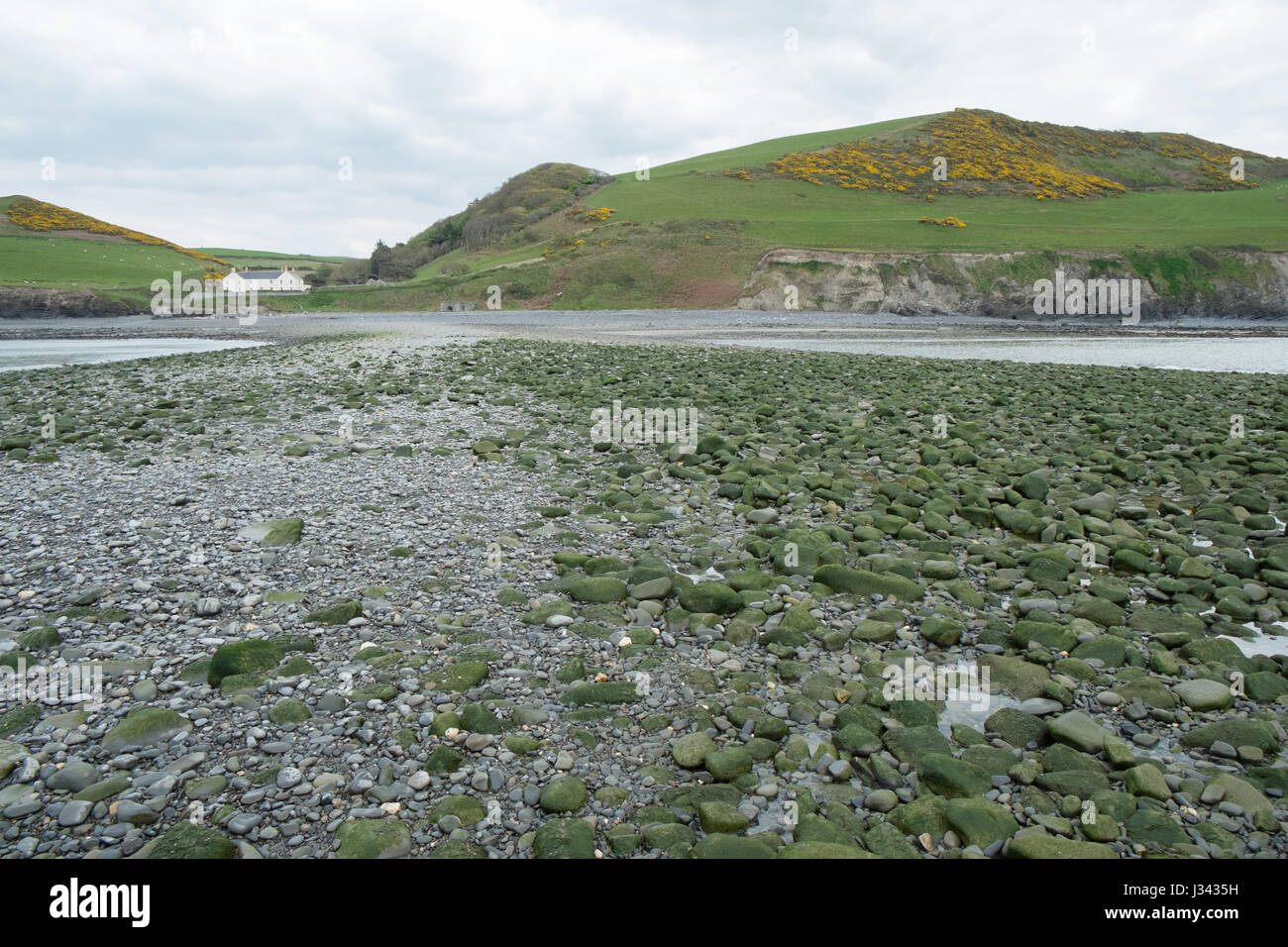 Sarn,Cynfelin,at,Wallog,village,north,of, Aberystwyth,Ceredigion ...