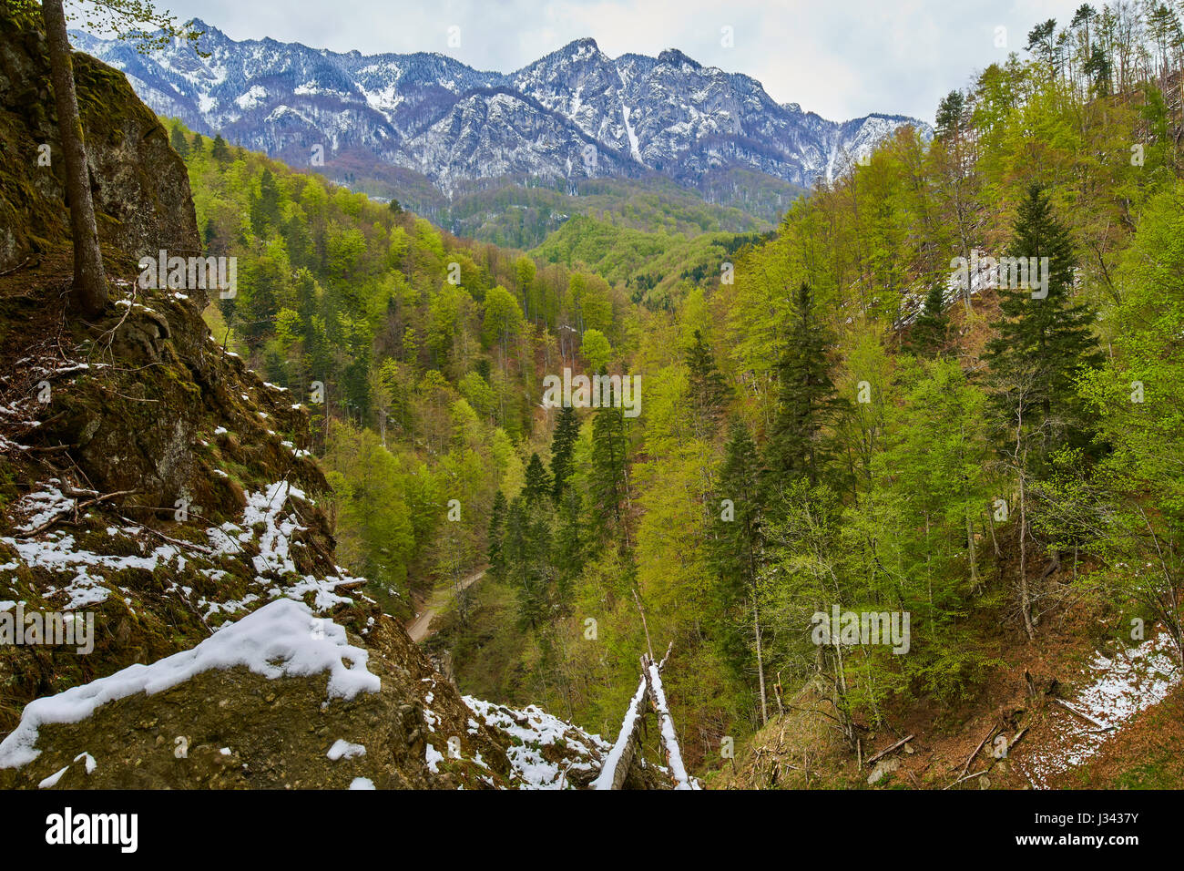 Landscape with mountains behind deciduous forests in the spring Stock ...