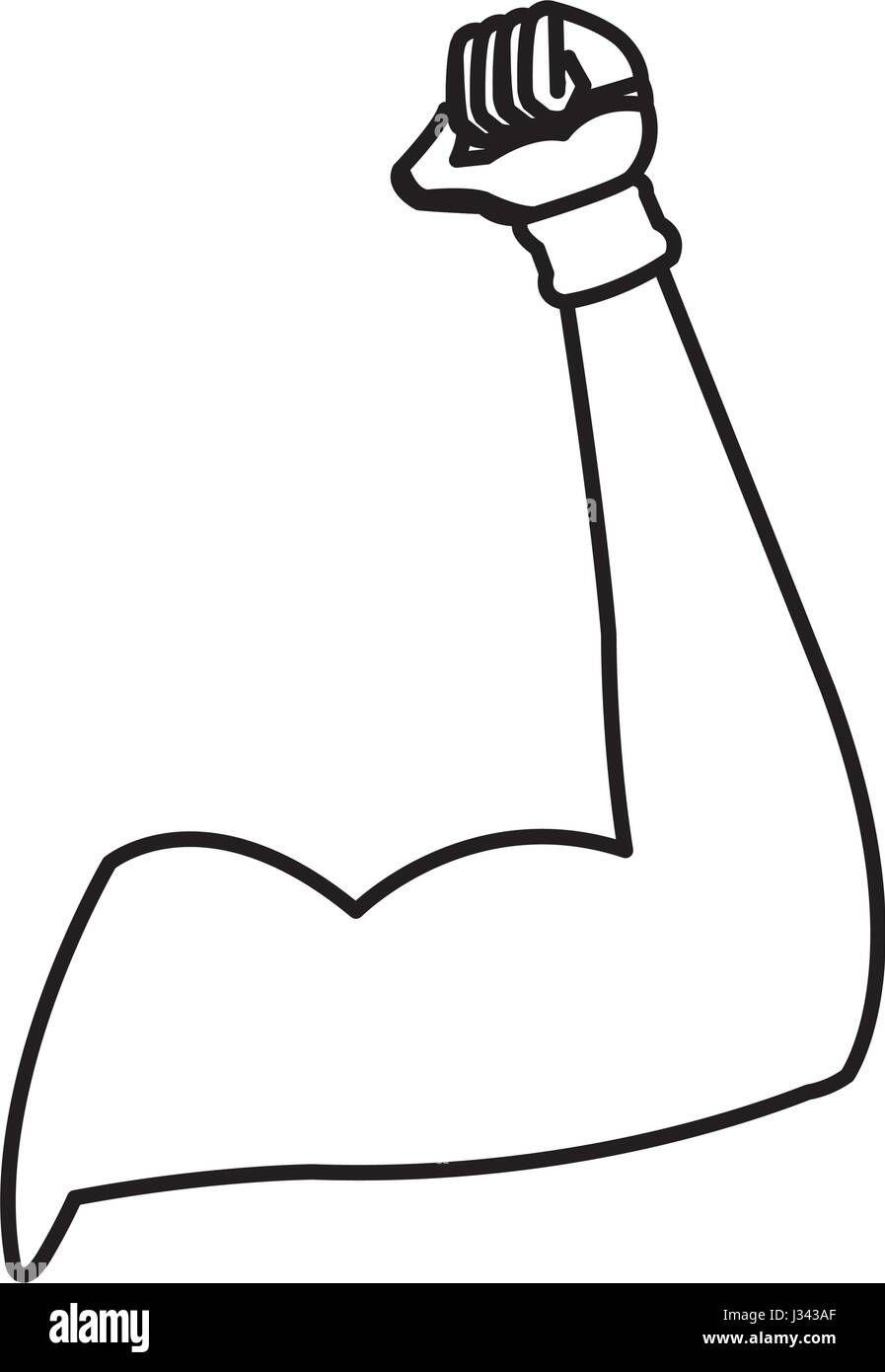 Arm Muscle Clip Art