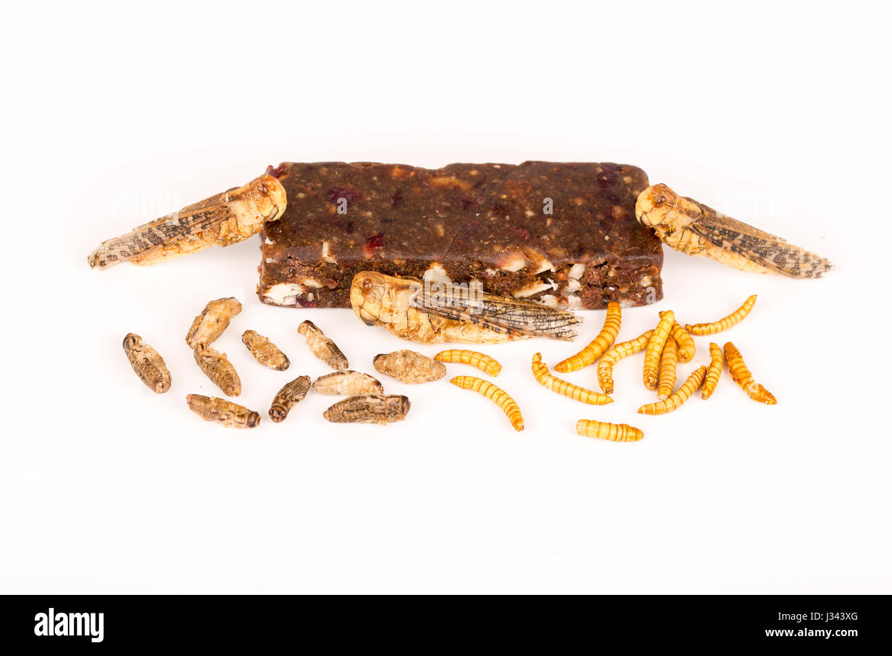 Fried crickets locust molitor insects, cereal energy bar made with ...