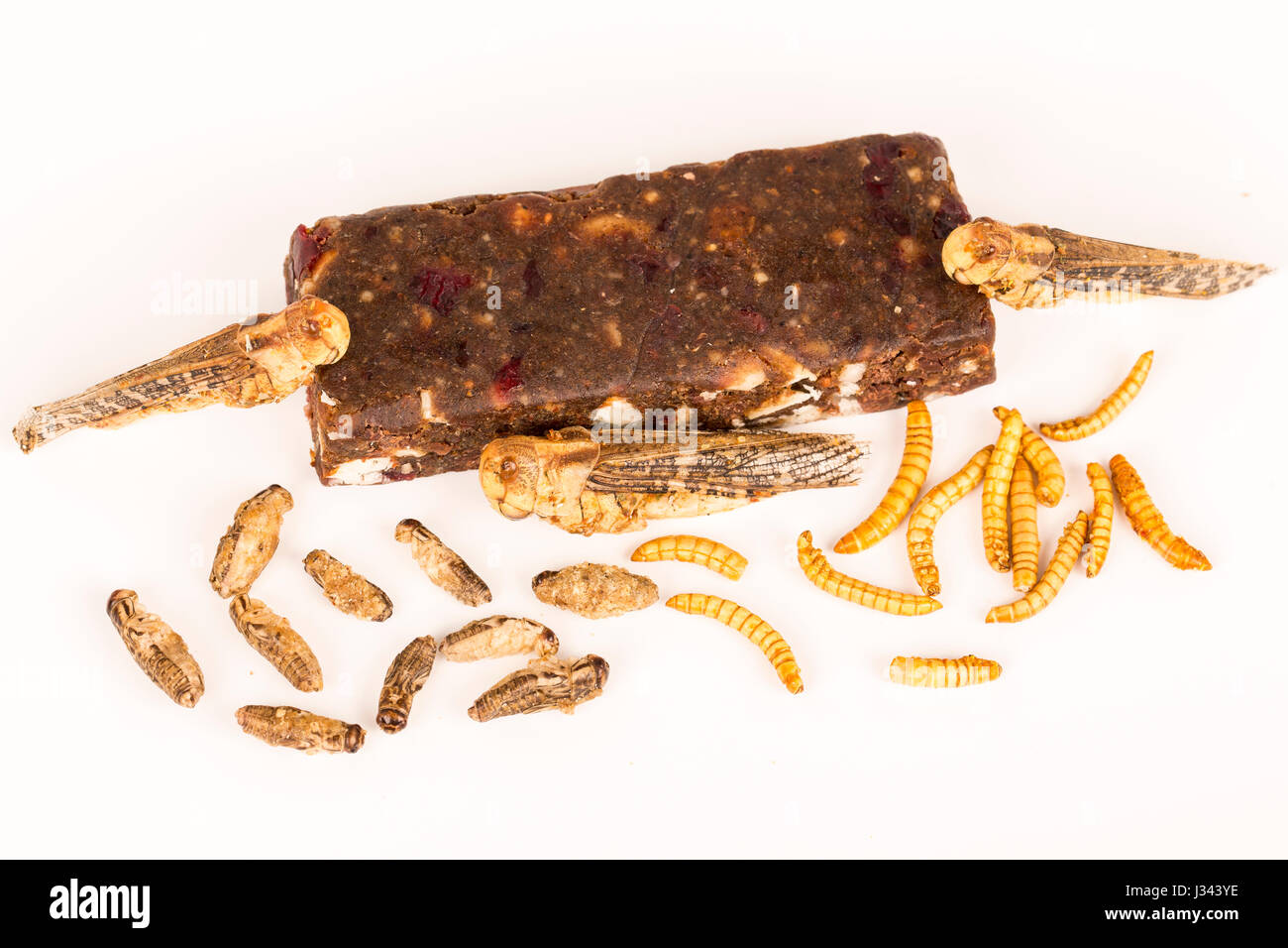 Fried crickets locust molitor insects, cereal energy bar made with ...