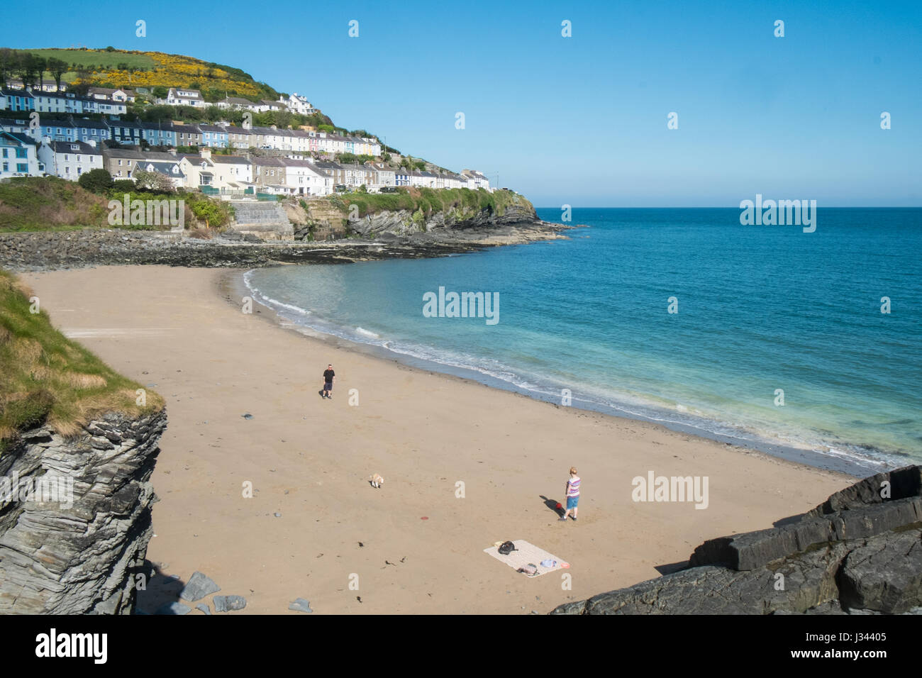 Harbour,beach,tourism,tourist,fishing,boat,trips,dolphin,watching,shop ...