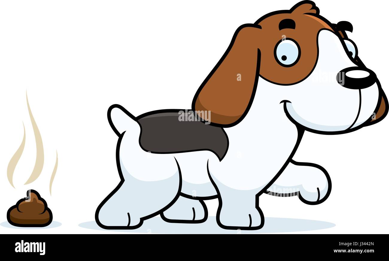 A cartoon illustration of a Beagle pooping Stock Vector Image & Art - Alamy