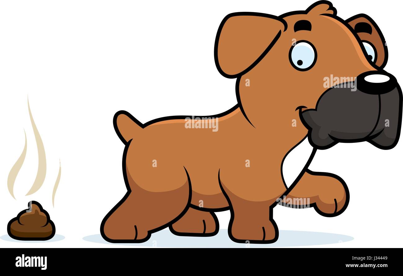 A cartoon illustration of a Boxer dog pooping Stock Vector Image & Art ...