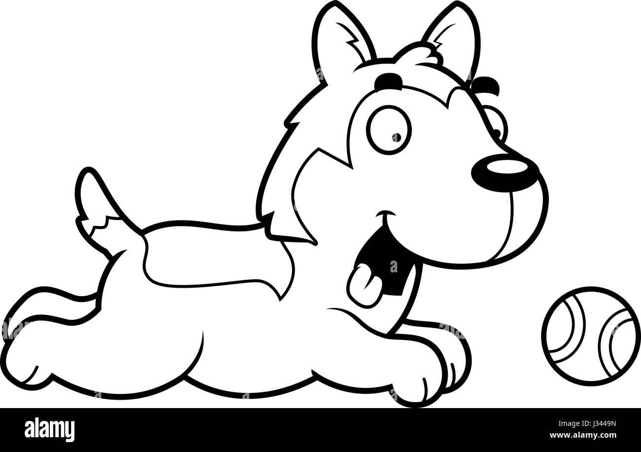 A cartoon illustration of a Husky chasing a ball Stock Vector Image ...
