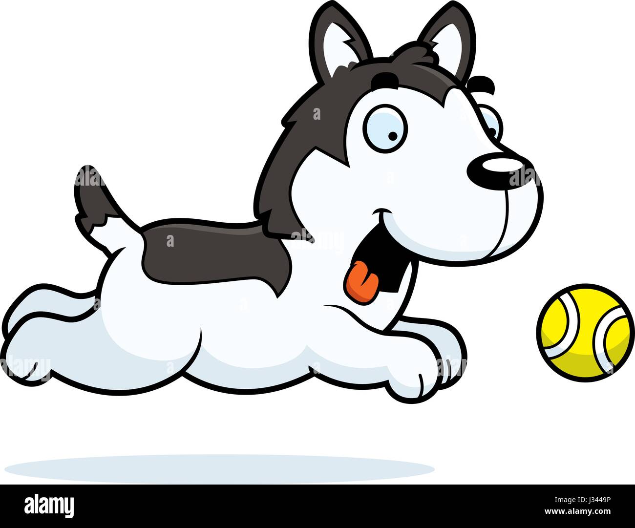 A cartoon illustration of a Husky chasing a ball Stock Vector Image ...