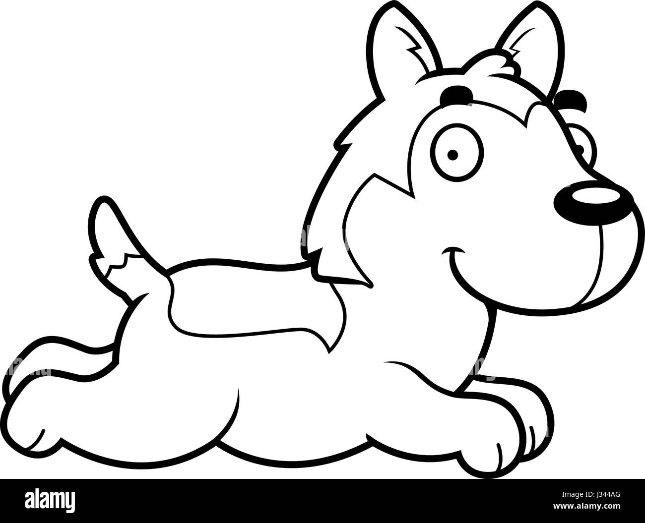 A cartoon illustration of a Husky running Stock Vector Image & Art - Alamy