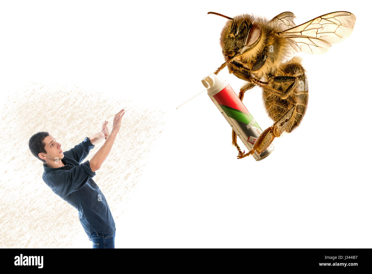 Giant bee sprain a man with insecticide spray Stock Photo - Alamy