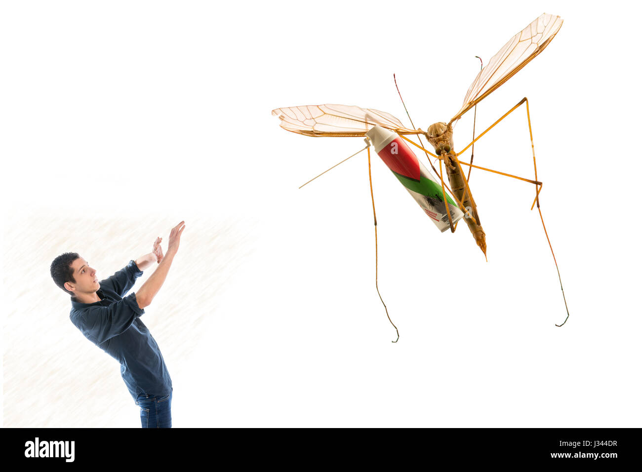 mosquito sprain a scared young man with insecticide, macro insect close ...