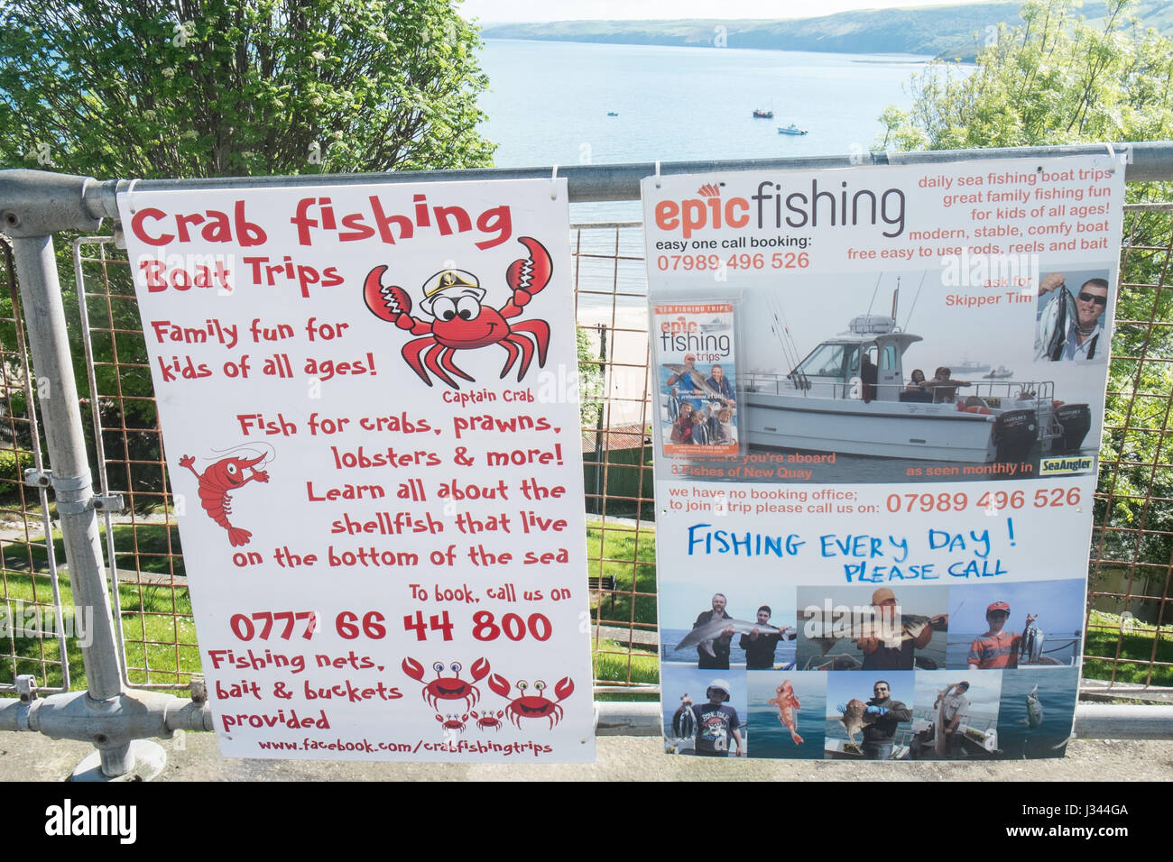 Signs,posters,adverts,publicity,for,fishing,trips,boat,trip,crab ...
