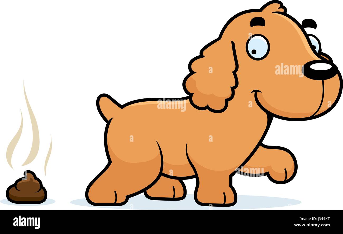 A cartoon illustration of a Cocker Spaniel pooping Stock Vector Image ...