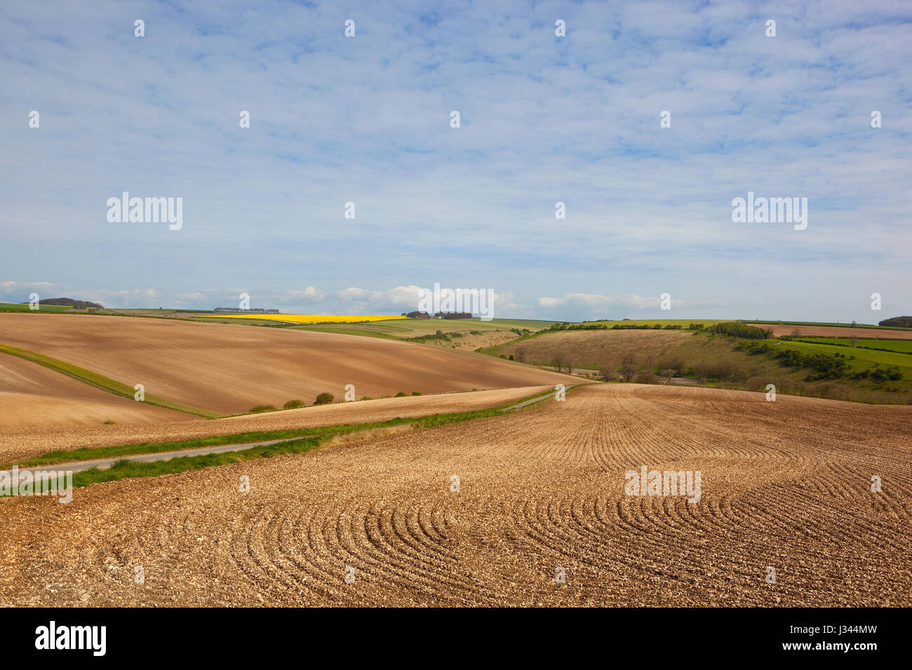 extensive cultivated rolling hills in the yorkshire wods under a blue ...