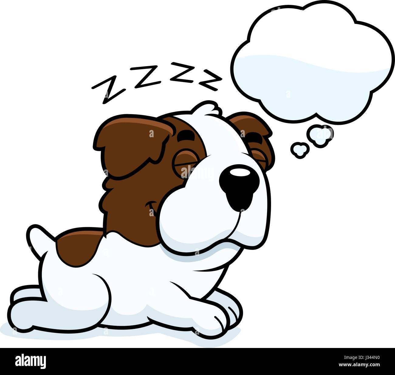 Saint bernard vector hi-res stock photography and images - Alamy