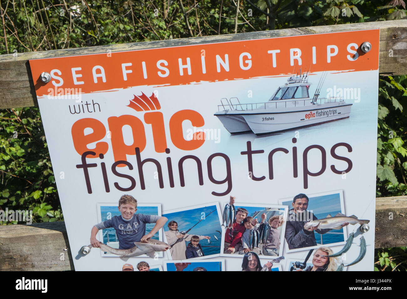 Signs,posters,adverts,publicity,for,fishing,trips,boat,trip,crab ...
