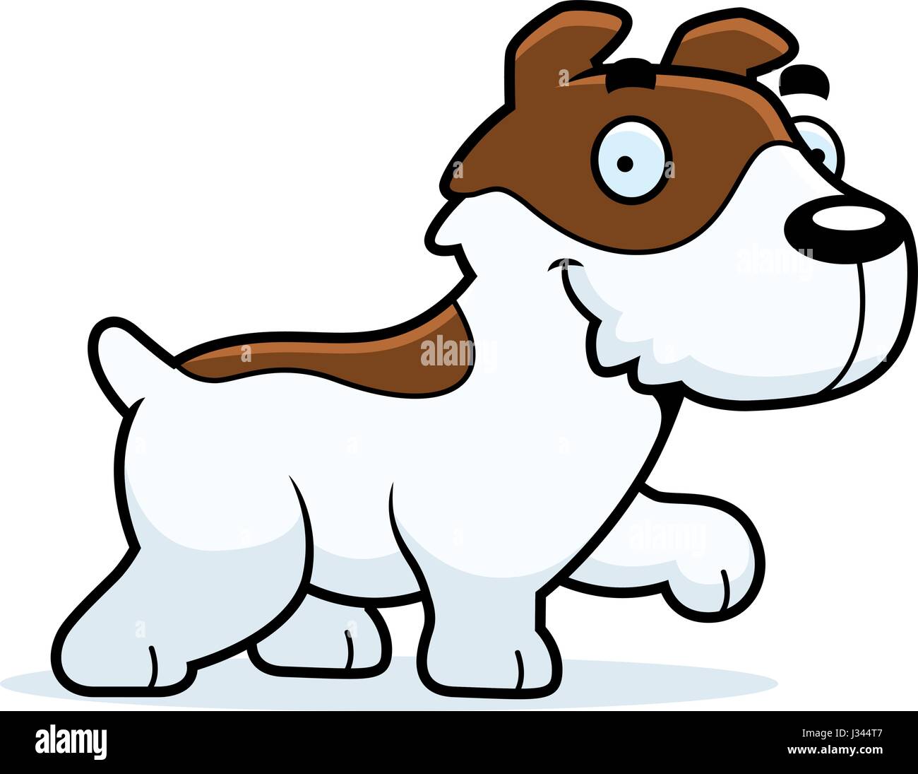 A cartoon illustration of a Jack Russell Terrier walking Stock Vector ...