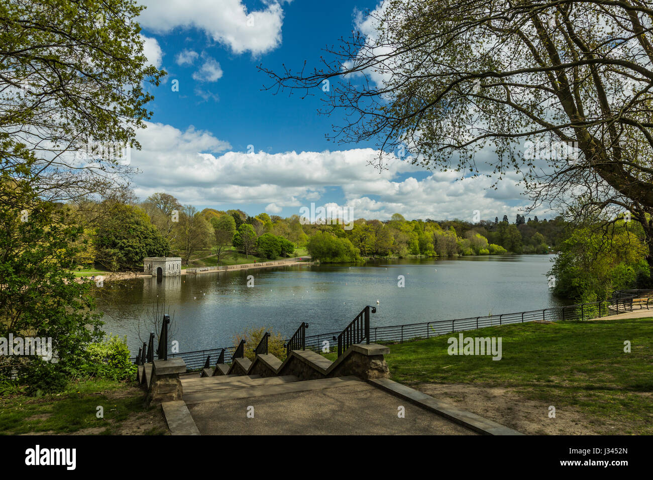 Mote park in Maidstone,Kent,ENGLAND Stock Photo - Alamy