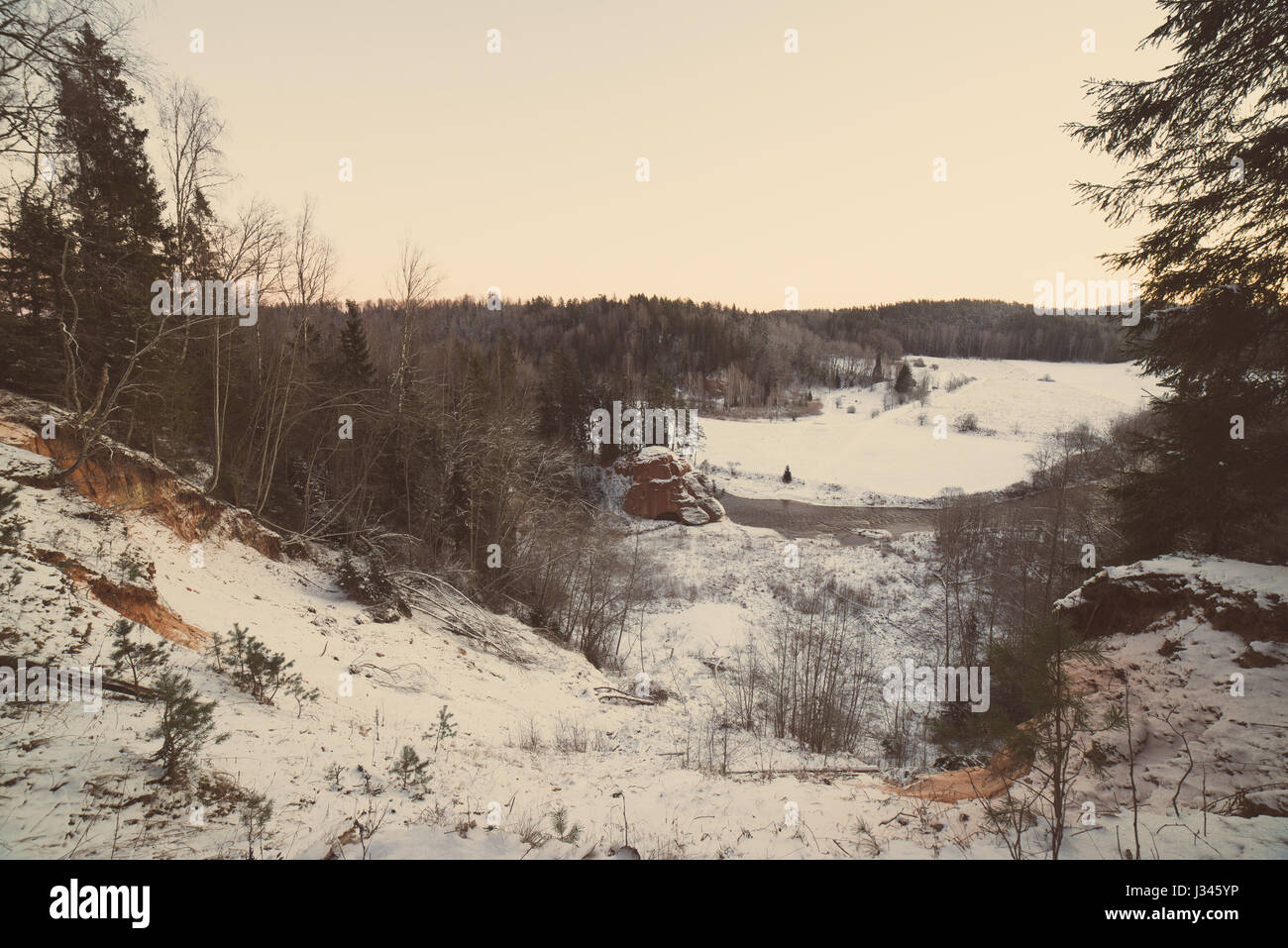 snowy winter forest with snow covered trees in country - retro vintage ...