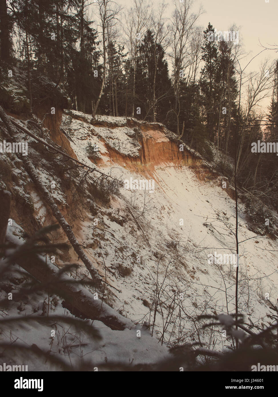 snowy winter forest with snow covered trees in country - retro vintage ...