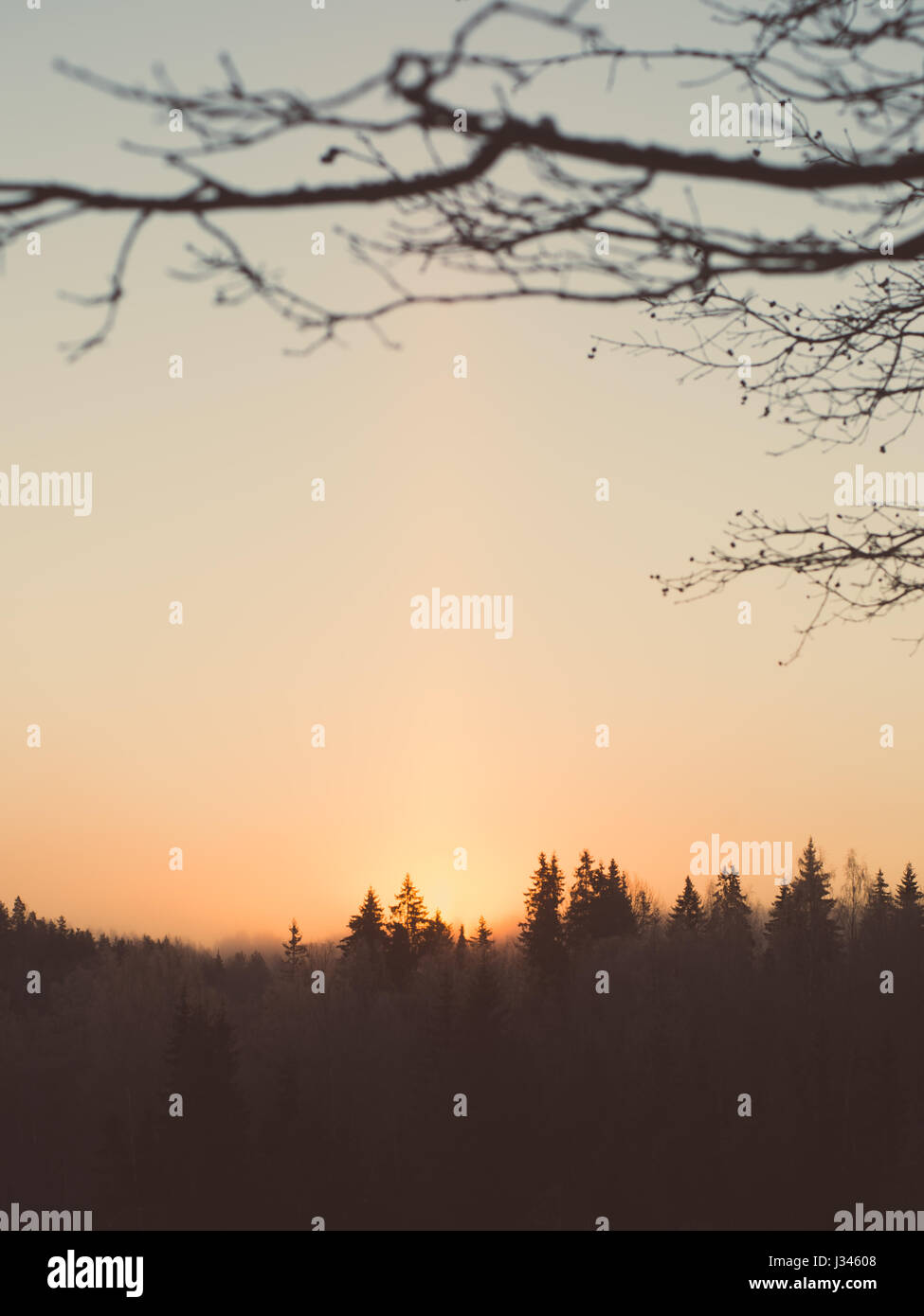 beautiful dark colorful sunrise over forest in winter frost - retro ...