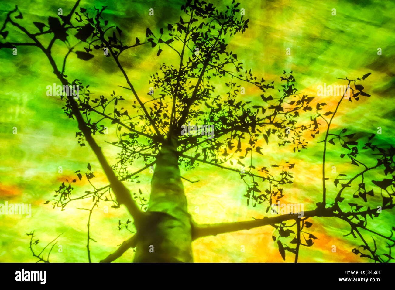 Artistic background with big tree and strange sky Stock Photo - Alamy