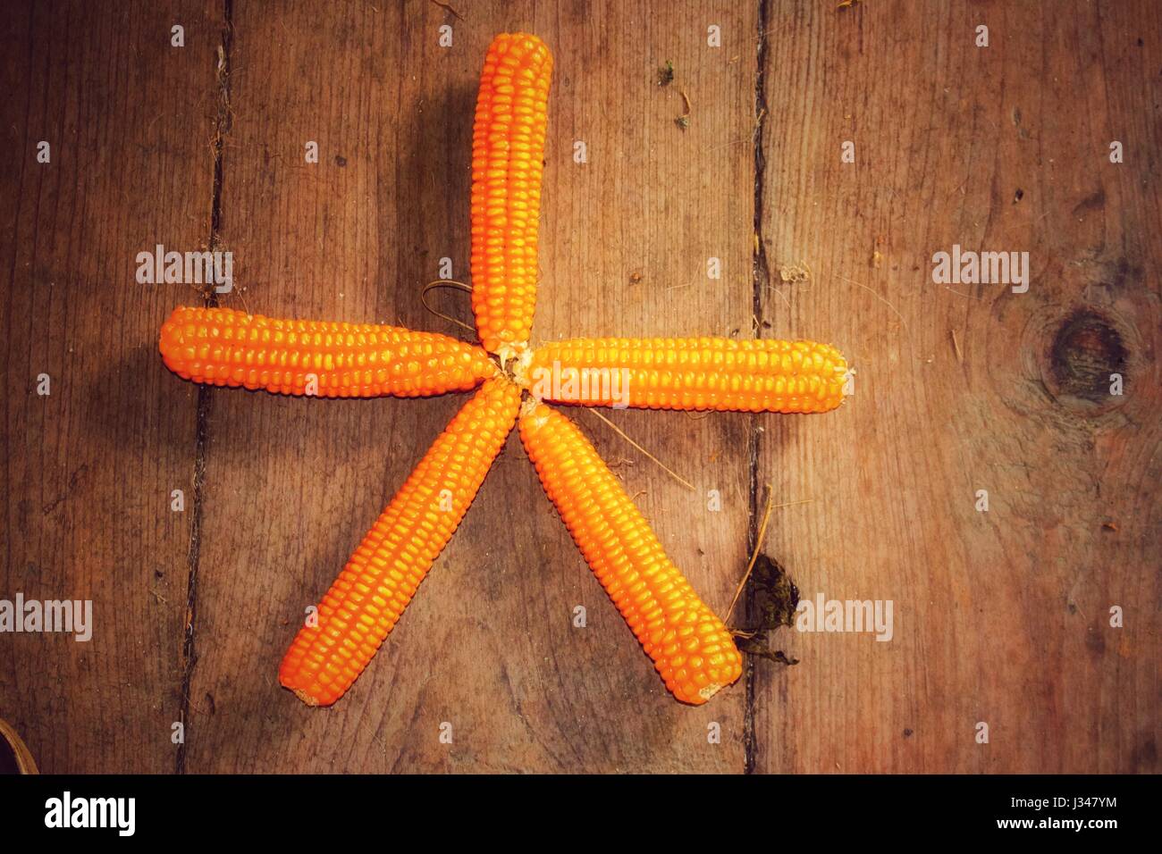 The Golden Corn Star found while trekking in Great Himalayan National ...