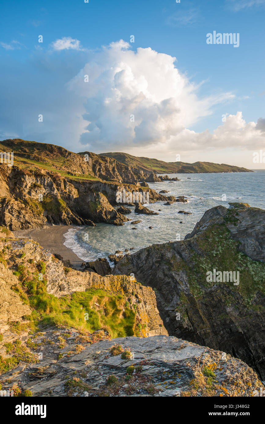 Rugged coastline of Bull Point in North Devon, England, UK Stock Photo ...
