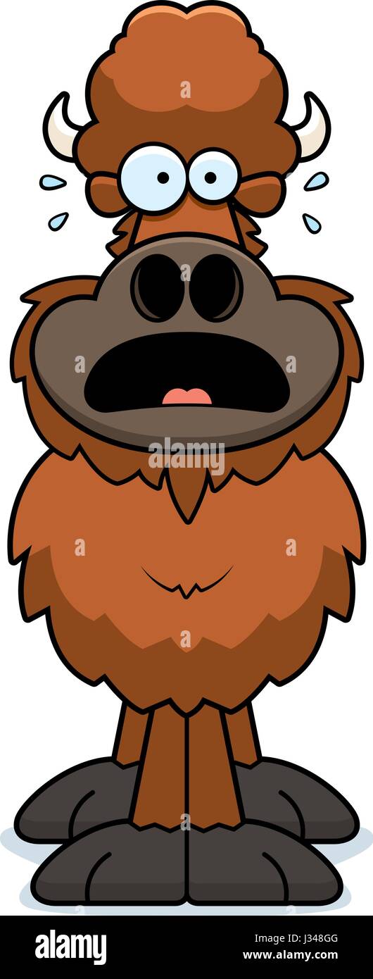 A cartoon illustration of a buffalo looking scared Stock Vector Image ...