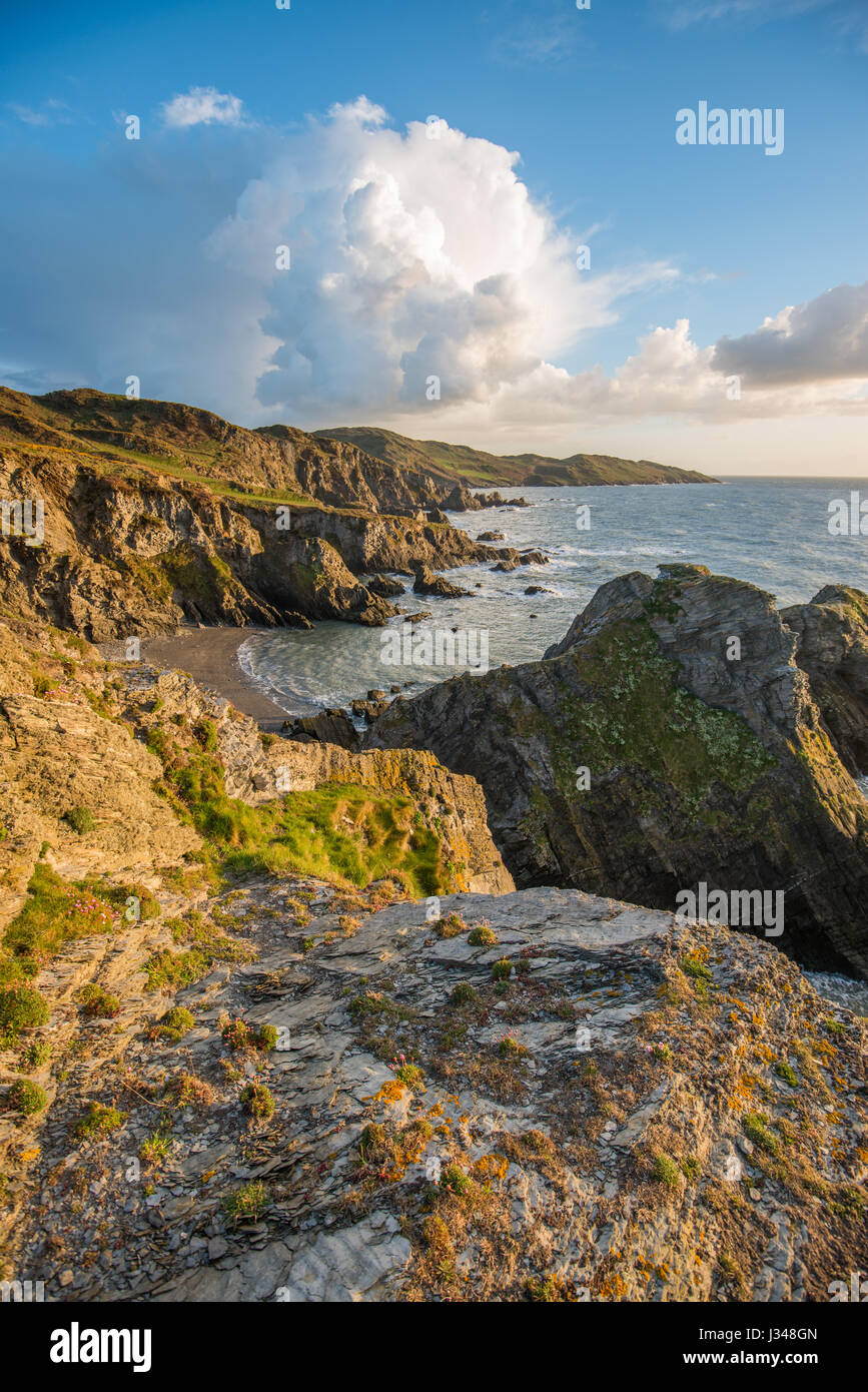 Rugged coastline of Bull Point in North Devon, England, UK Stock Photo ...