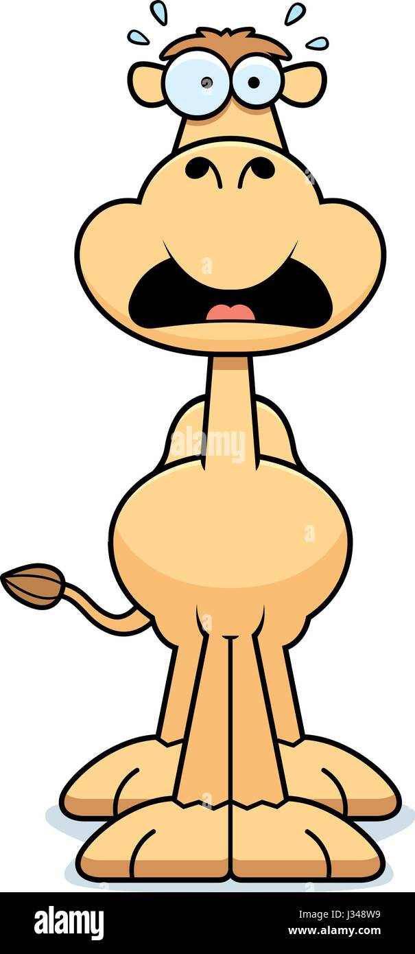 A cartoon illustration of a camel looking scared Stock Vector Image ...