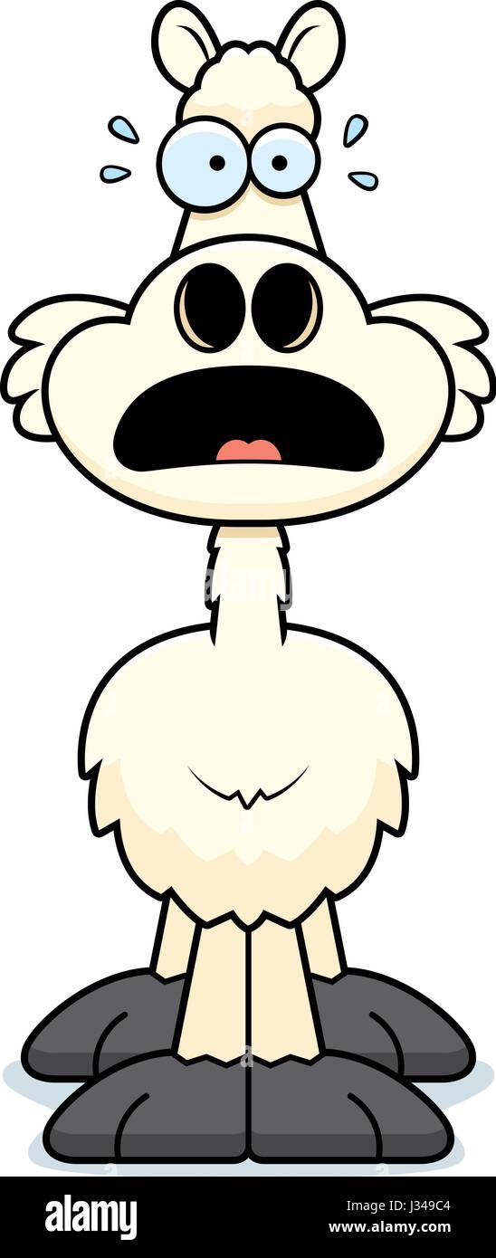 A cartoon illustration of a llama looking scared Stock Vector Image ...