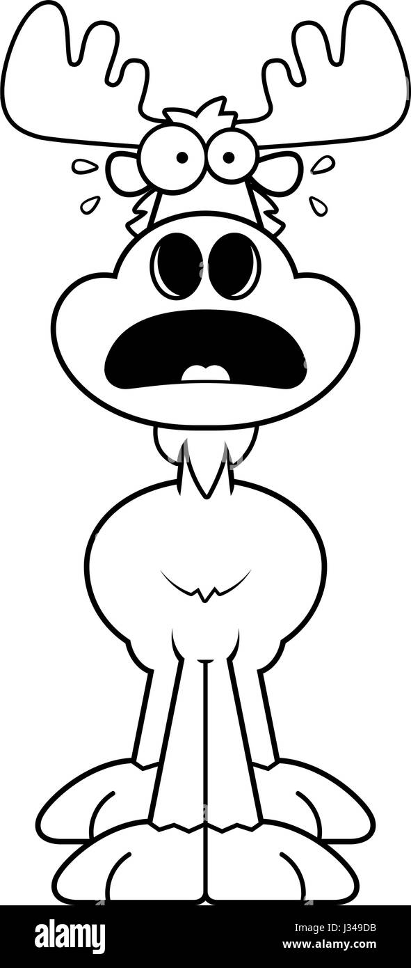 A cartoon illustration of a moose looking scared Stock Vector Image ...