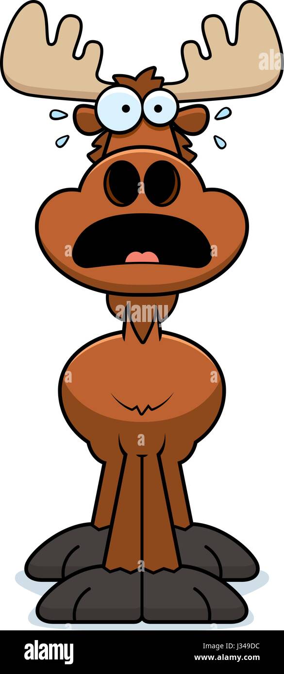 A cartoon illustration of a moose looking scared Stock Vector Image ...