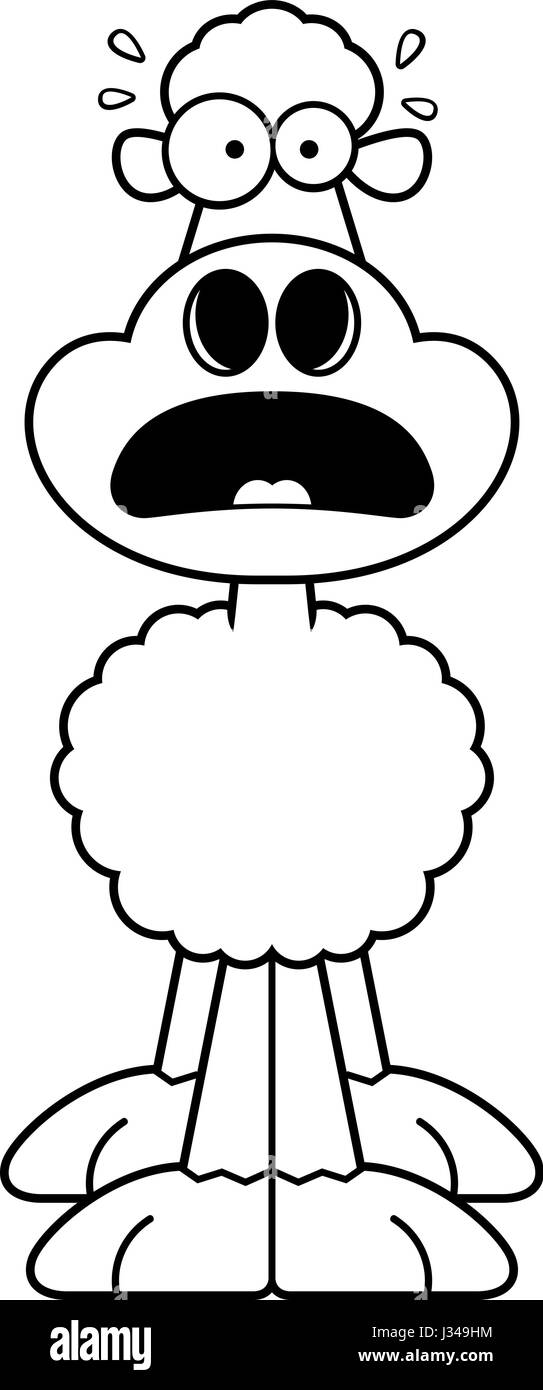 Frightened sheep hi-res stock photography and images - Alamy