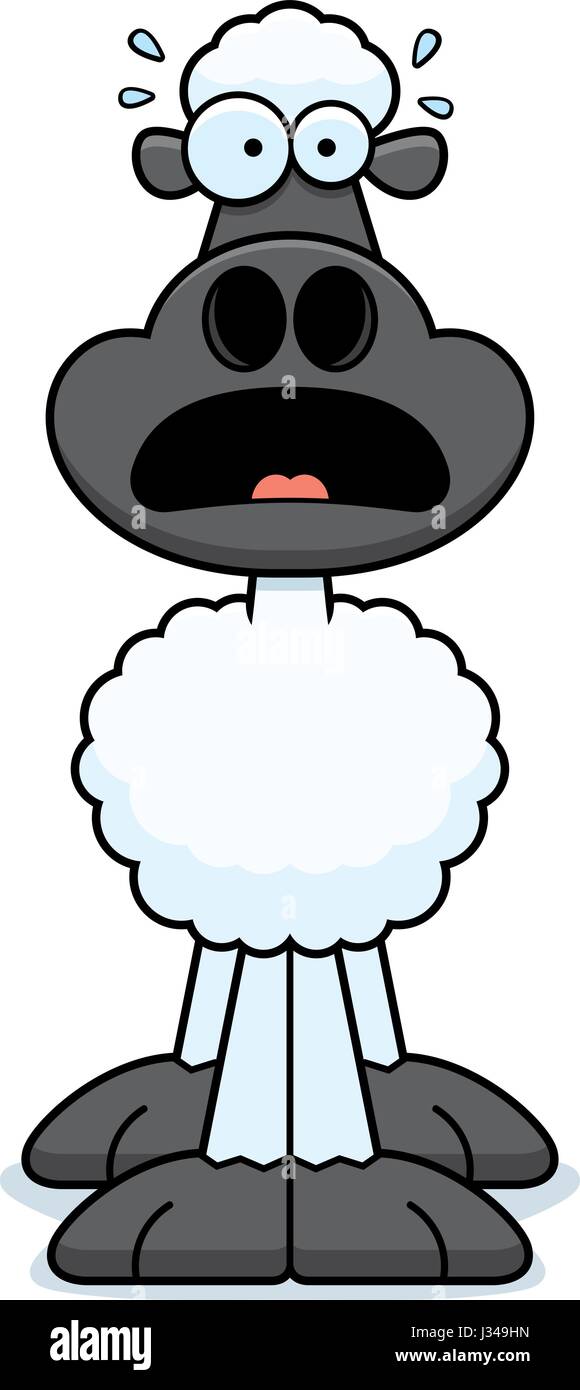 Frightened sheep hi-res stock photography and images - Alamy