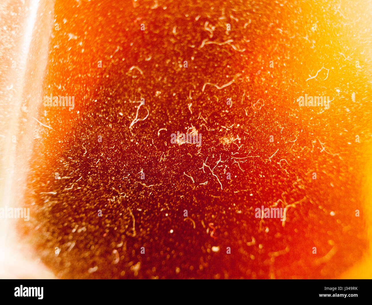 Extreme close up glass beer hi-res stock photography and images - Alamy
