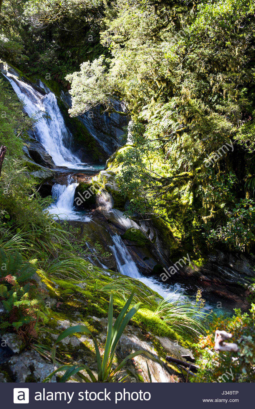 Roaring Creek High Resolution Stock Photography and Images - Alamy