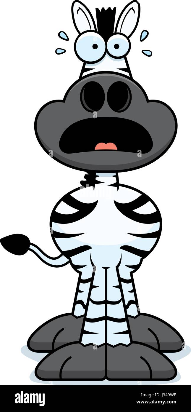A cartoon illustration of a zebra looking scared Stock Vector Image ...