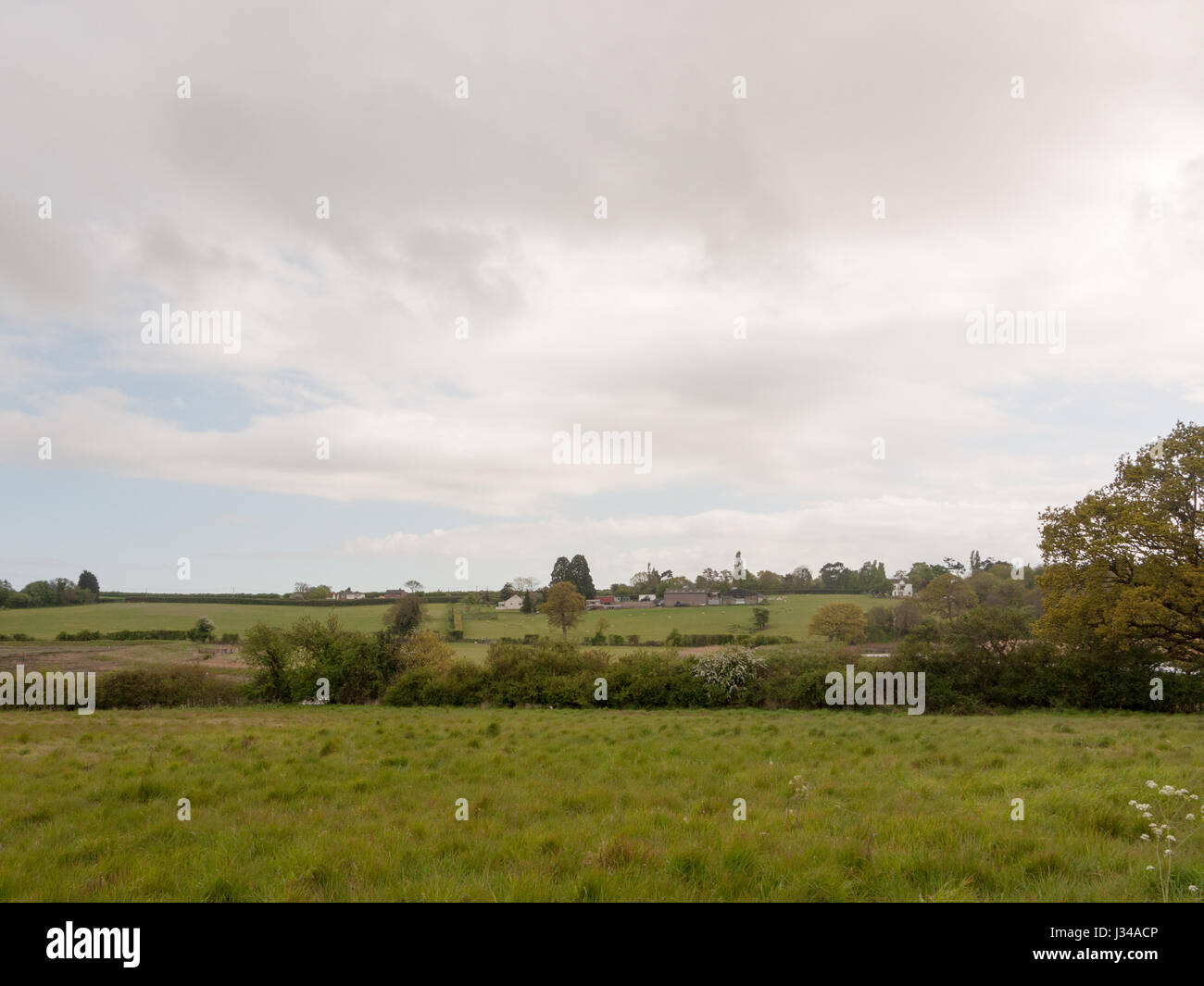 an overcast and cloudy countryside scene outside in an open field Stock ...