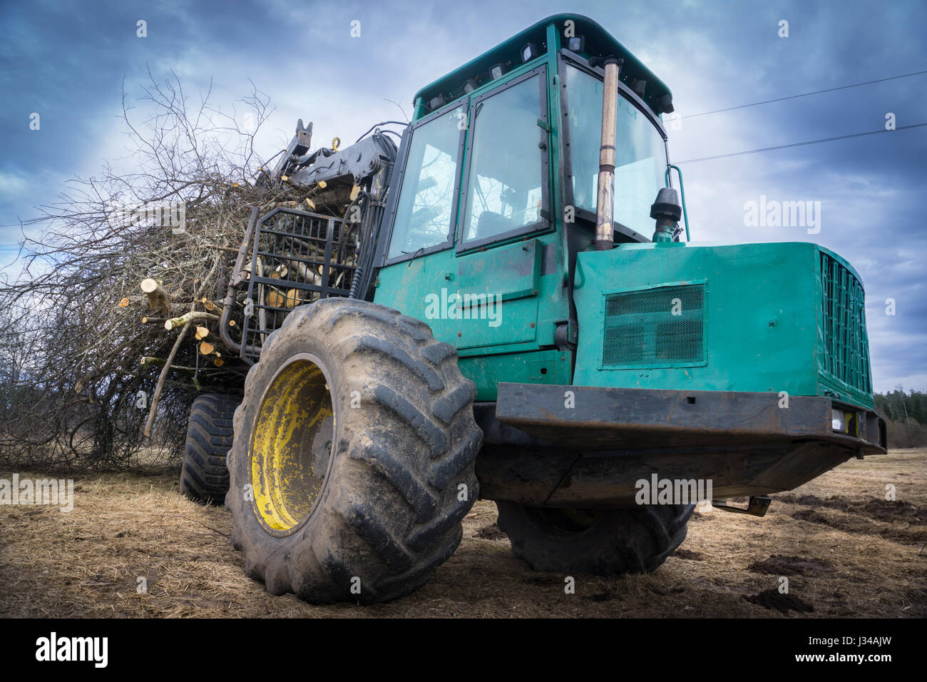 Big green tractor with cut trees and timber, placed on the field in ...