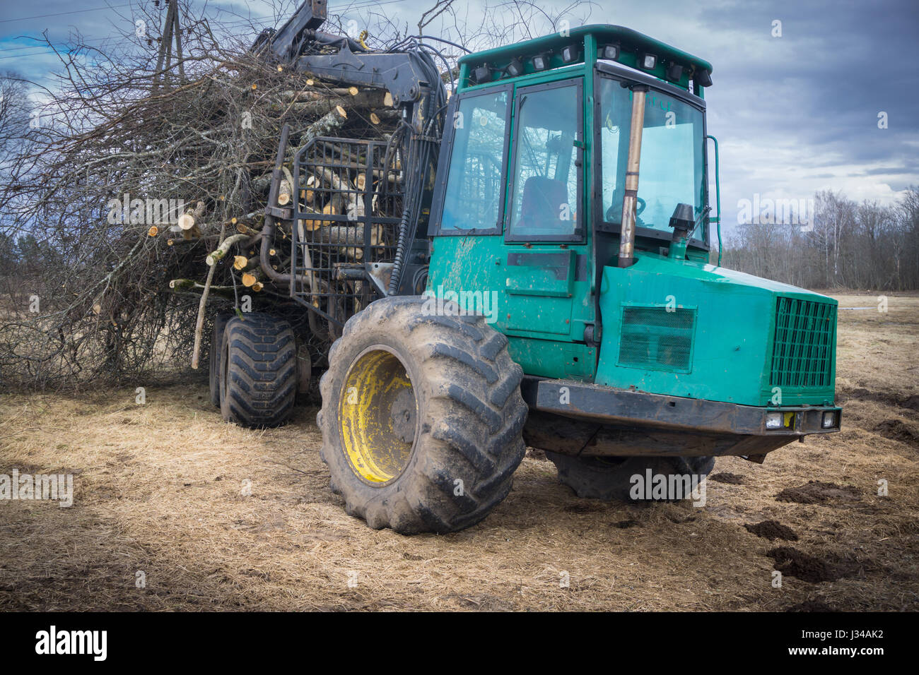 Big green tractor with cut trees and timber, placed on the field in ...