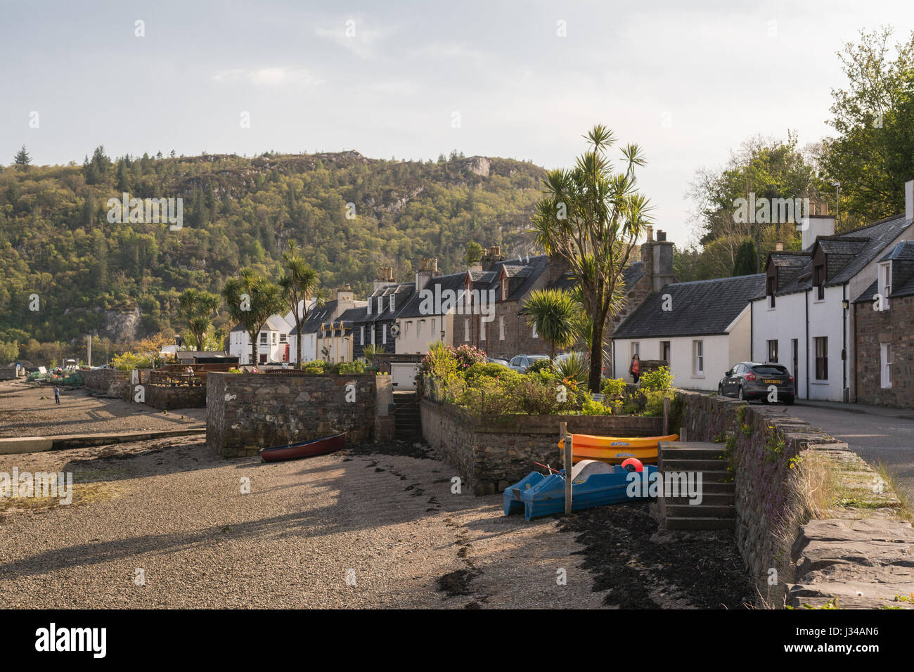 Plockton palm trees hi-res stock photography and images - Alamy