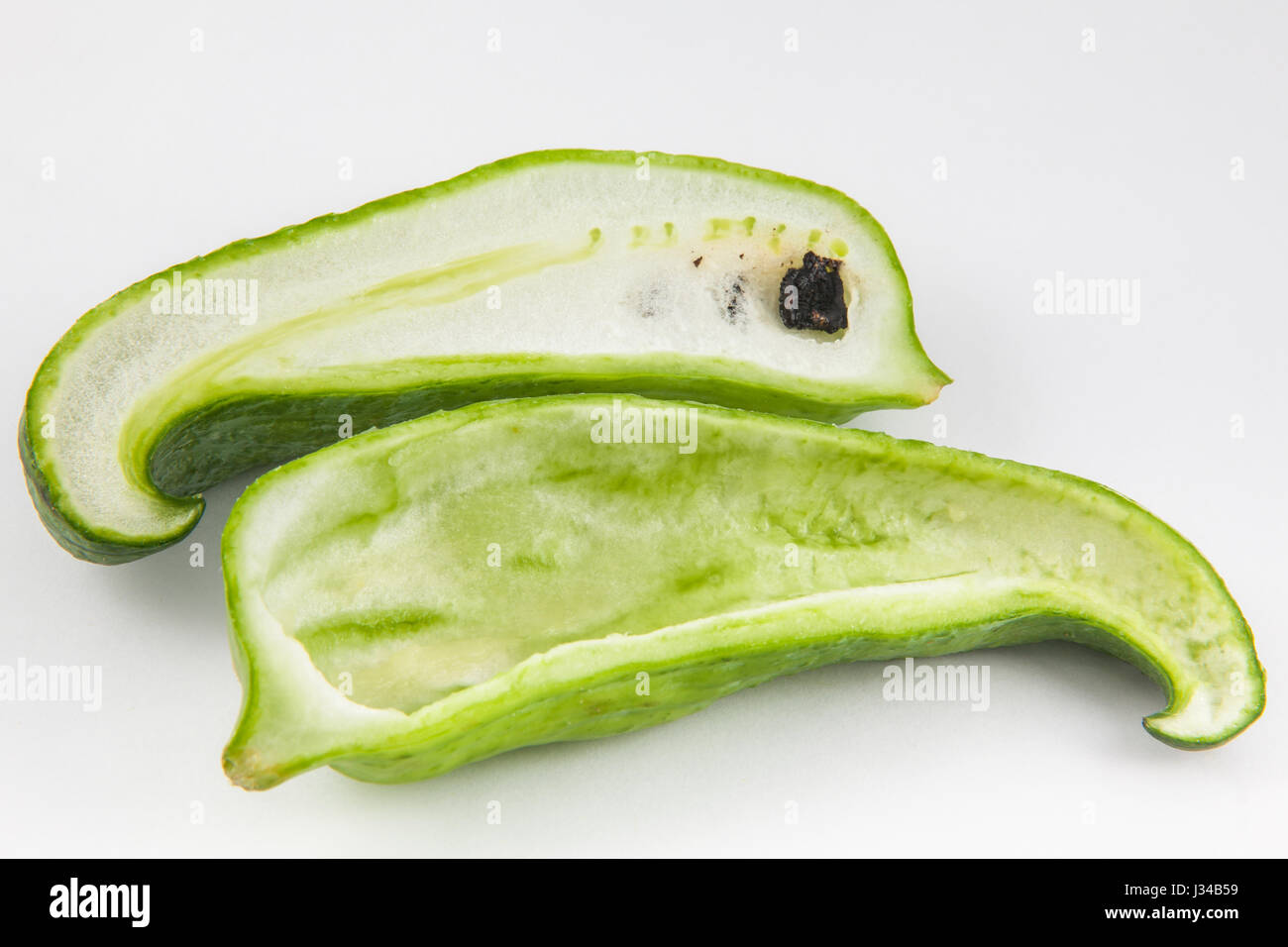 Stuffing cucumber (Cyclanthera pedata) isolated in white background ...
