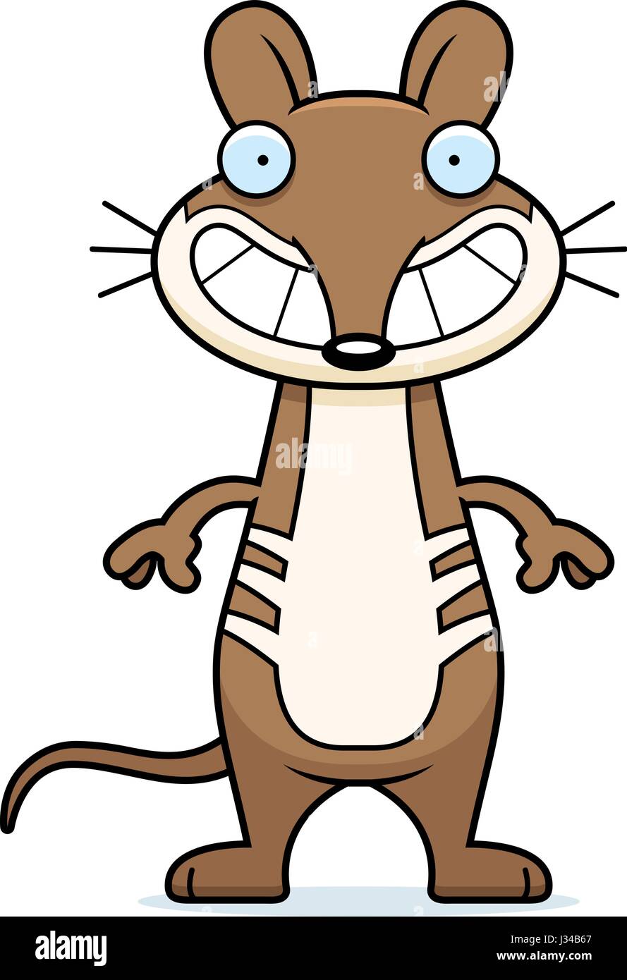 A cartoon illustration of a bandicoot looking happy Stock Vector Image ...