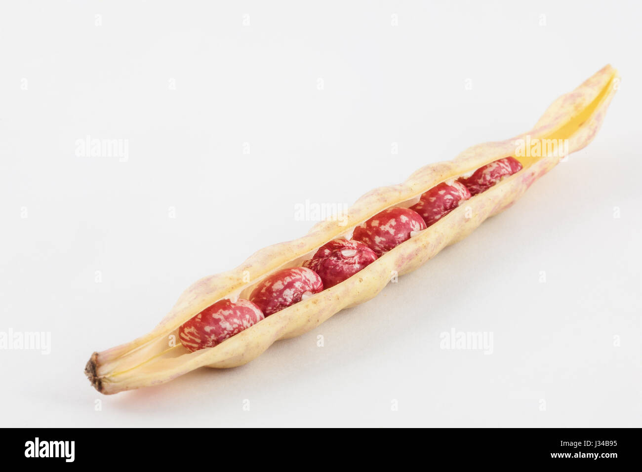 Unripe common beans (Phaseolus vulgaris) isolated in white background ...