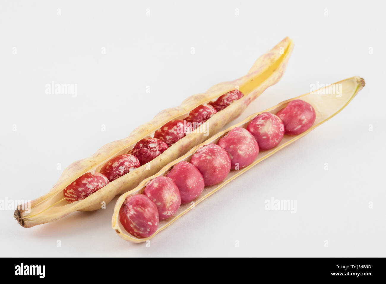 Unripe common beans (Phaseolus vulgaris) isolated in white background ...