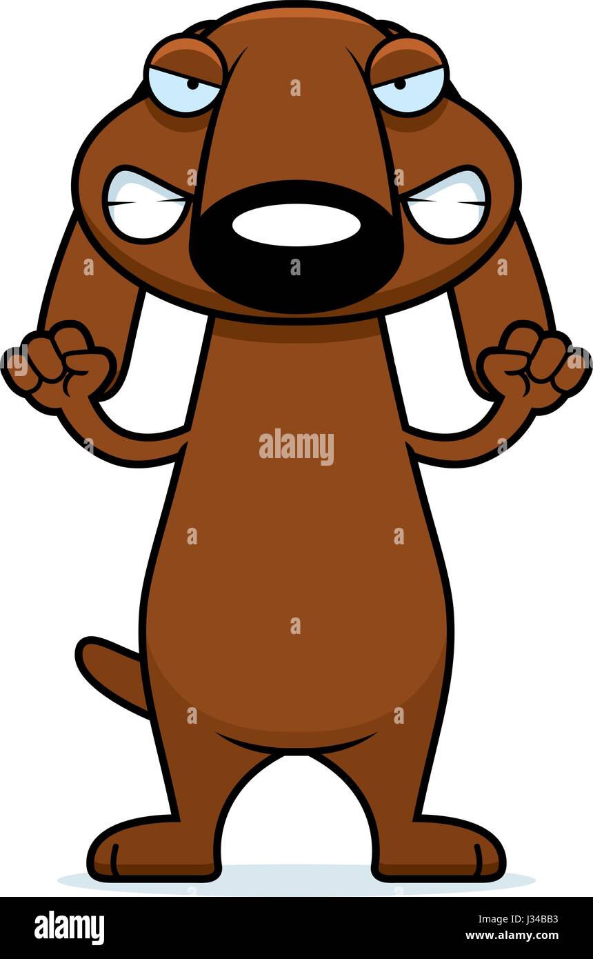 A cartoon illustration of a dachshund looking angry Stock Vector Image ...