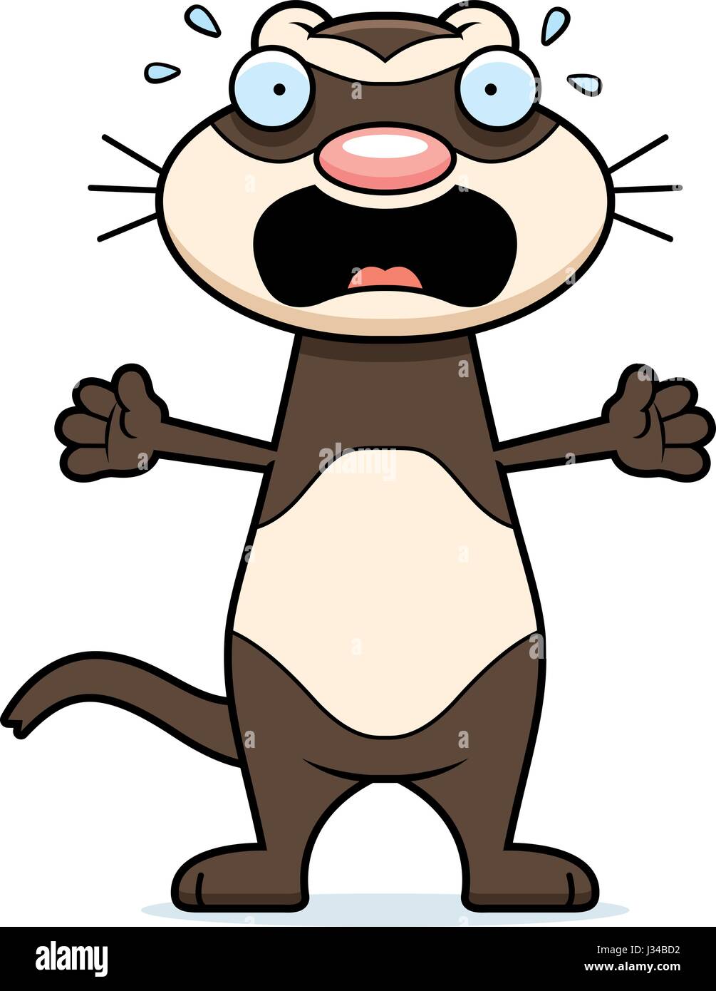 A cartoon illustration of a ferret looking scared Stock Vector Image & Art - Alamy