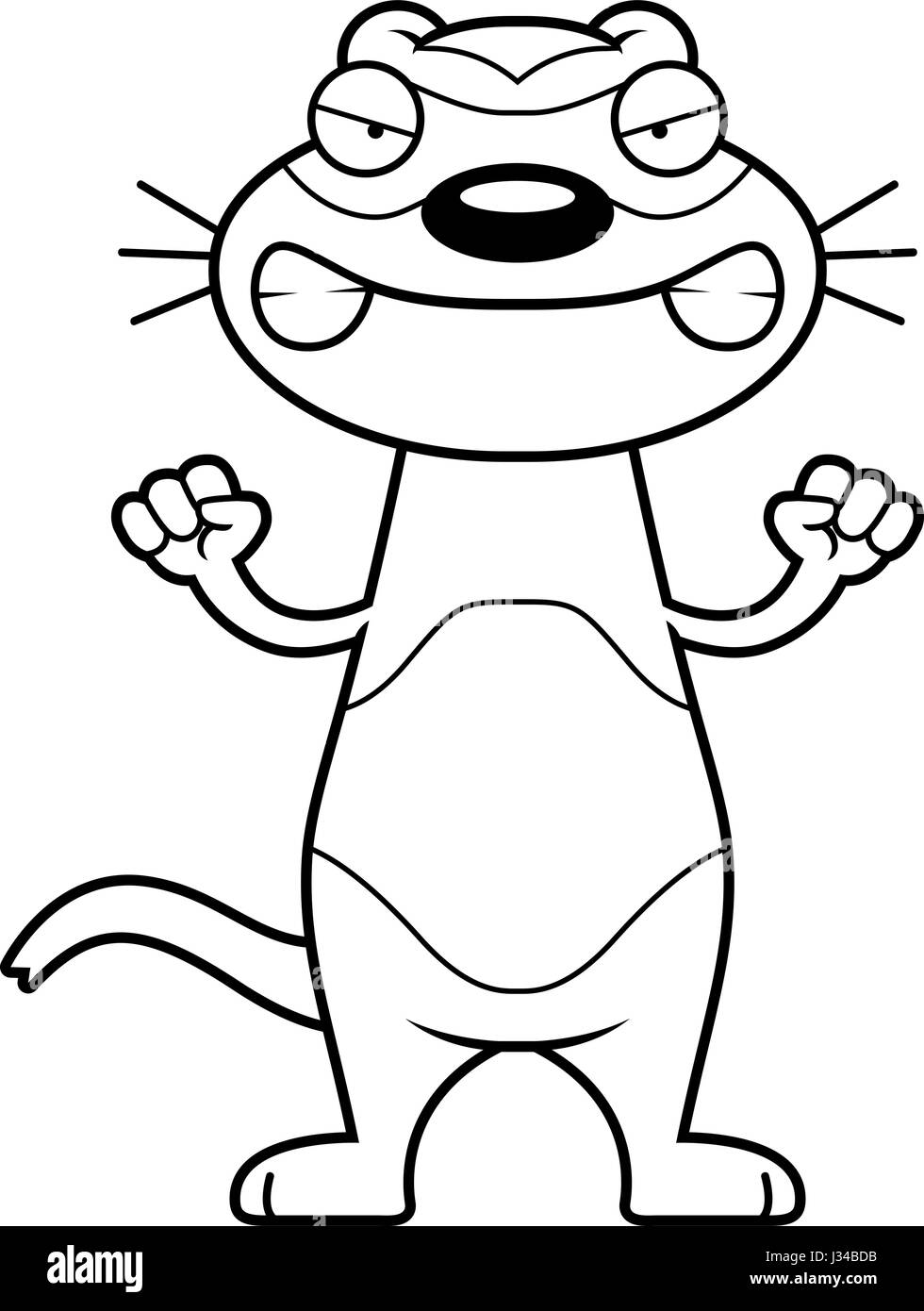 A cartoon illustration of a ferret looking angry Stock Vector Image ...