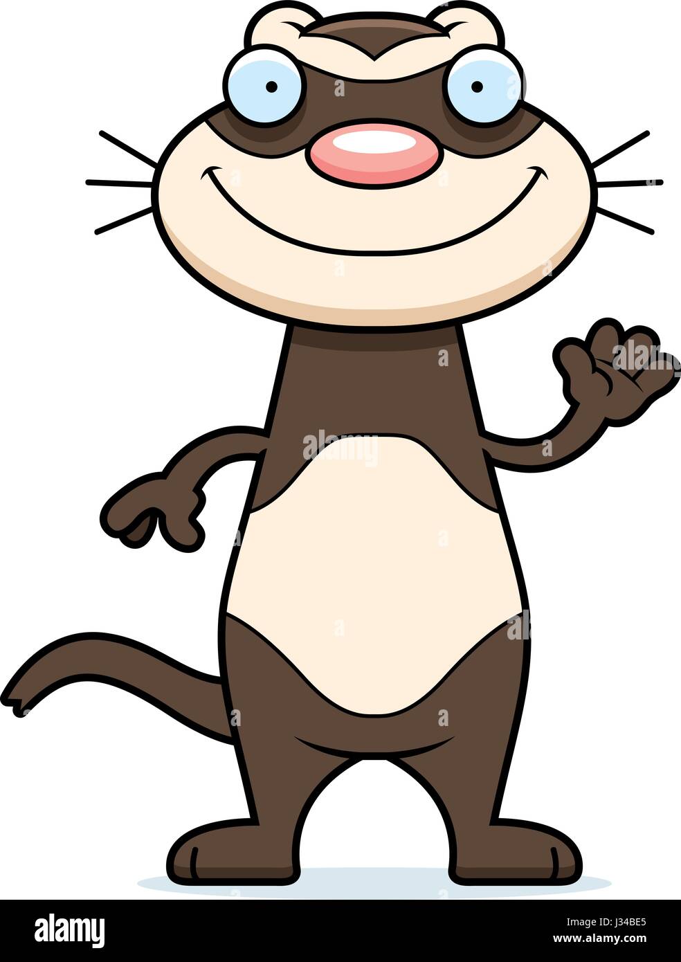 Ferret Stock Vector Images - Alamy