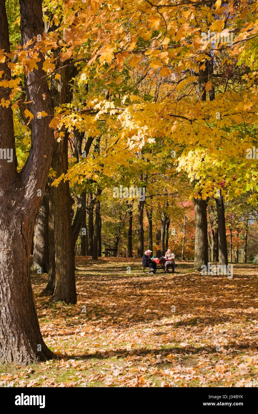 Seniors sitting at picnic table at Mount-Royal park in autumn, Montreal ...